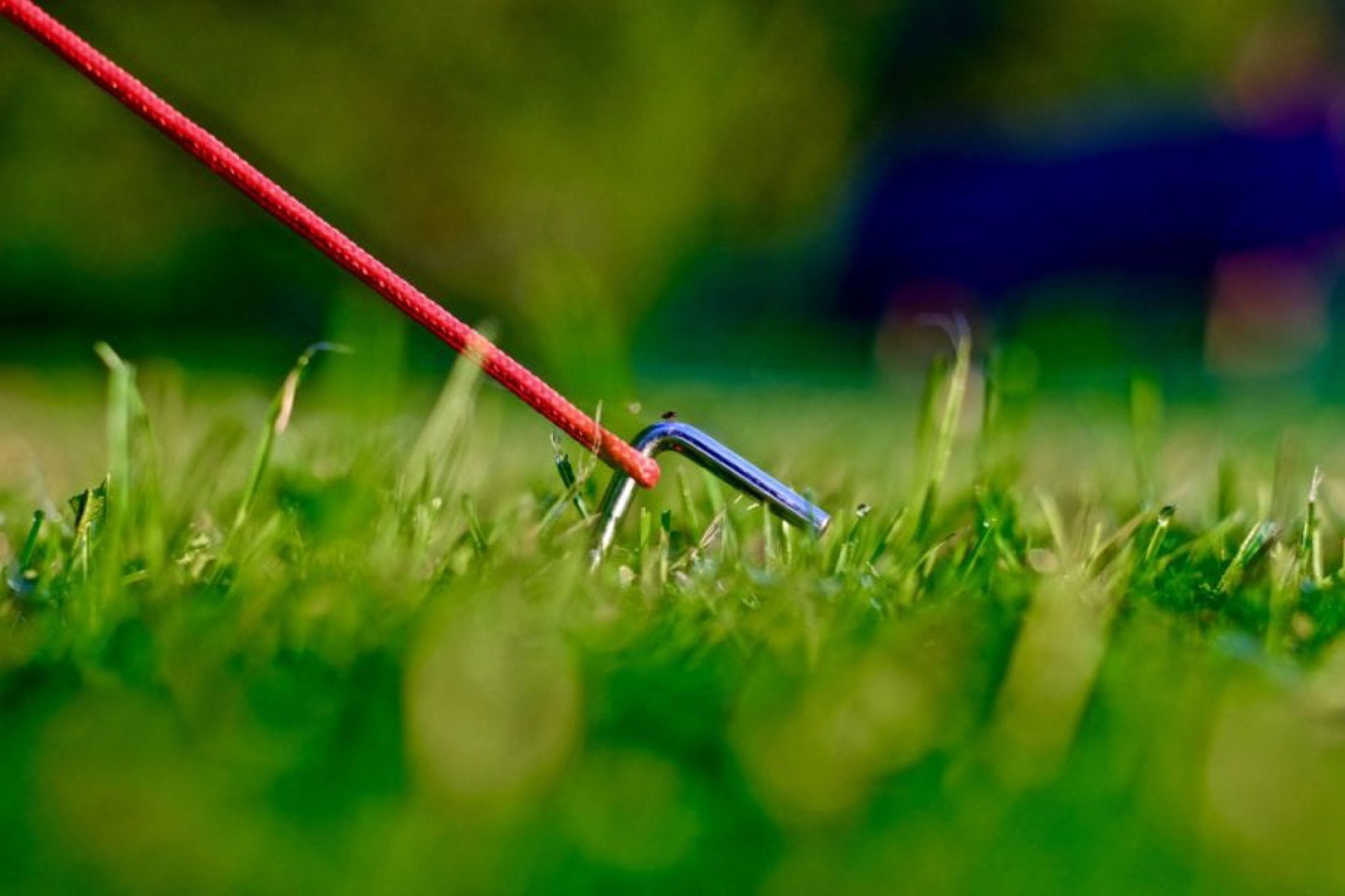 How To Use Tent Stakes Secure Your Tent In Any Terrain My Traveling Tents